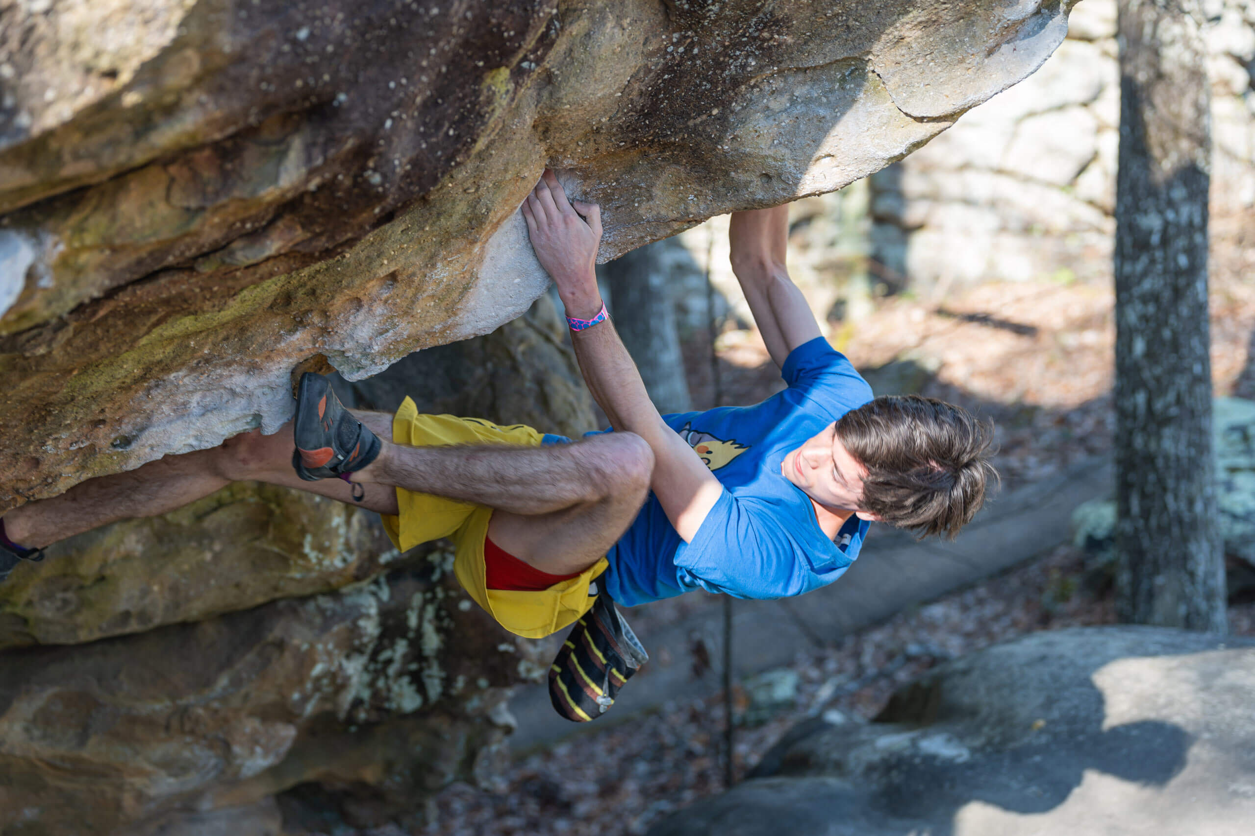A Climber’s Paradise Right Here in Alabama - Seek Alabama