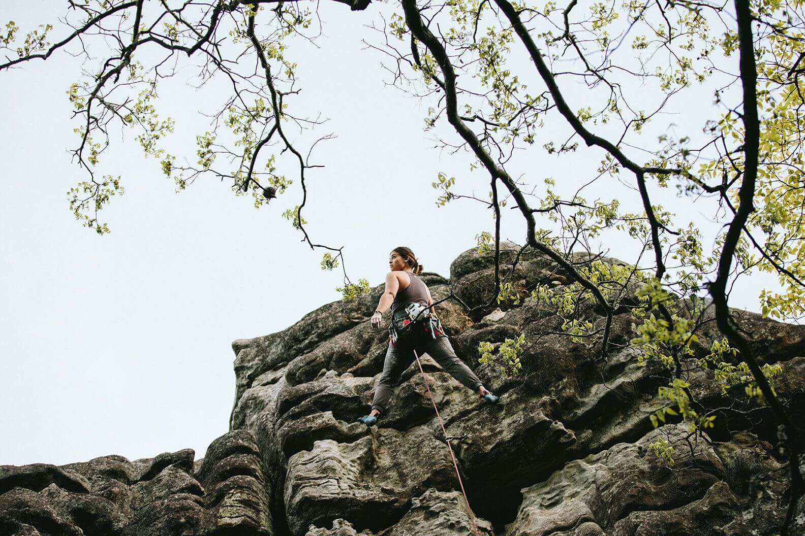 Climbing - Seek Alabama