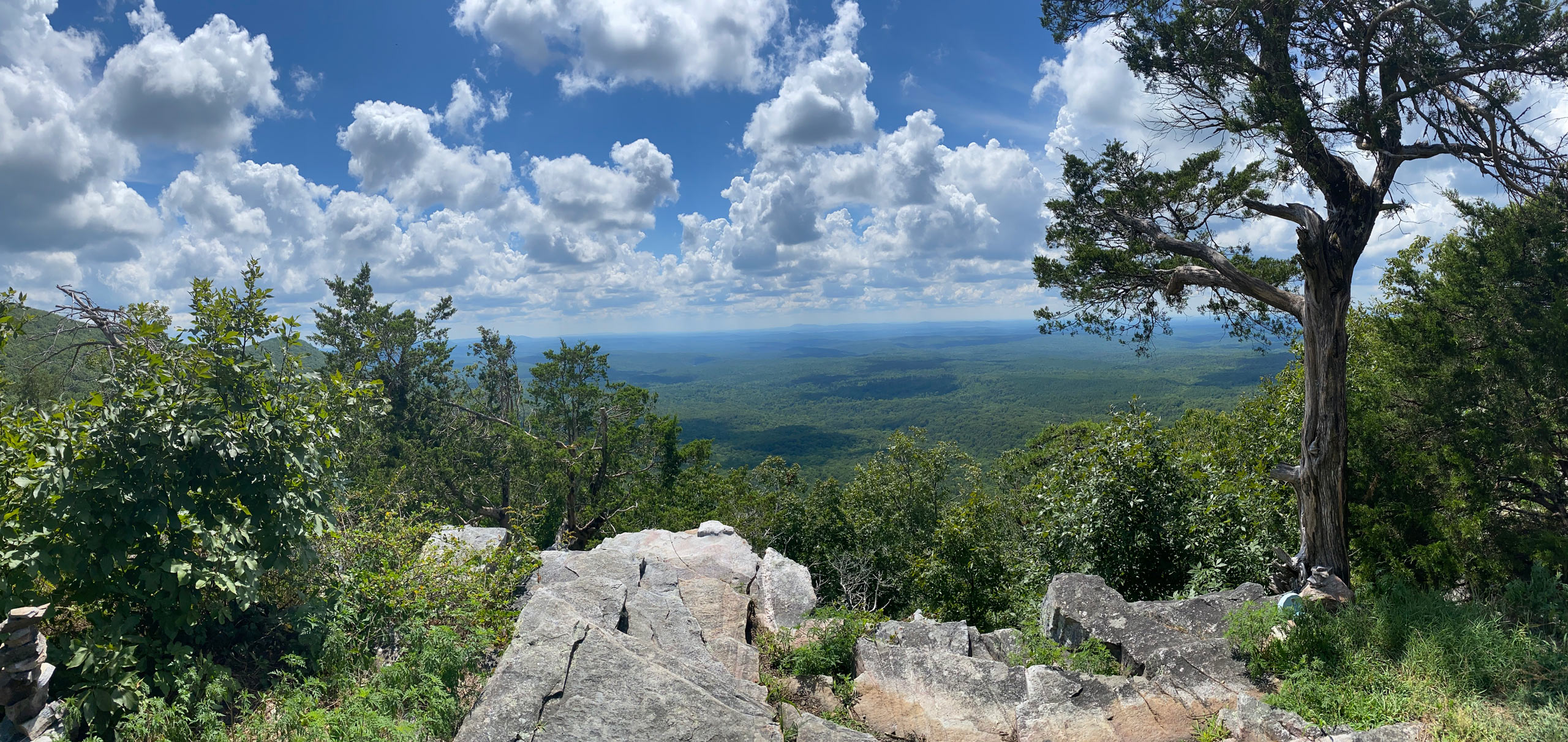 Central Alabama - Seek Alabama